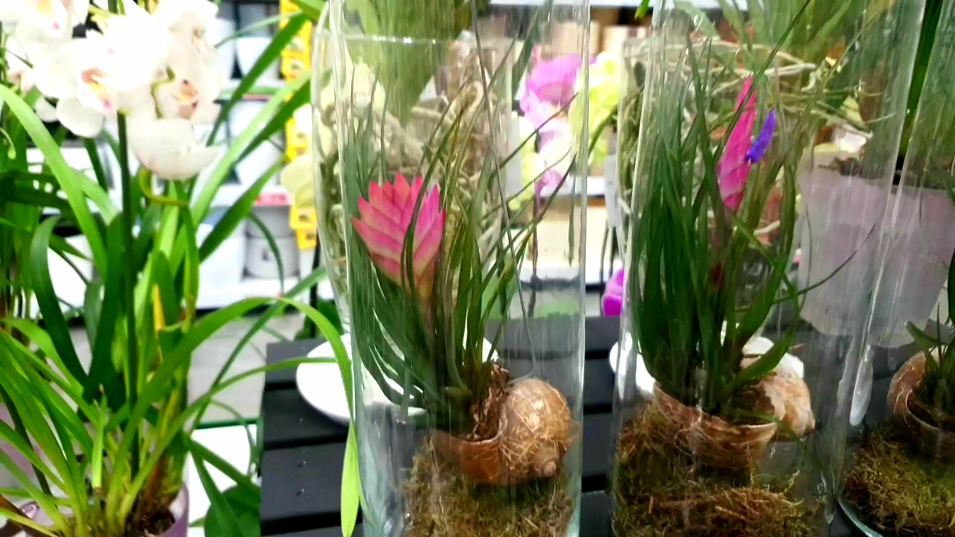 ☃️⚘Прогулка по Бауцентру??