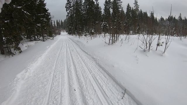 30 минут релакса на семейной лыжной трассе БАЛТИЕЦ.