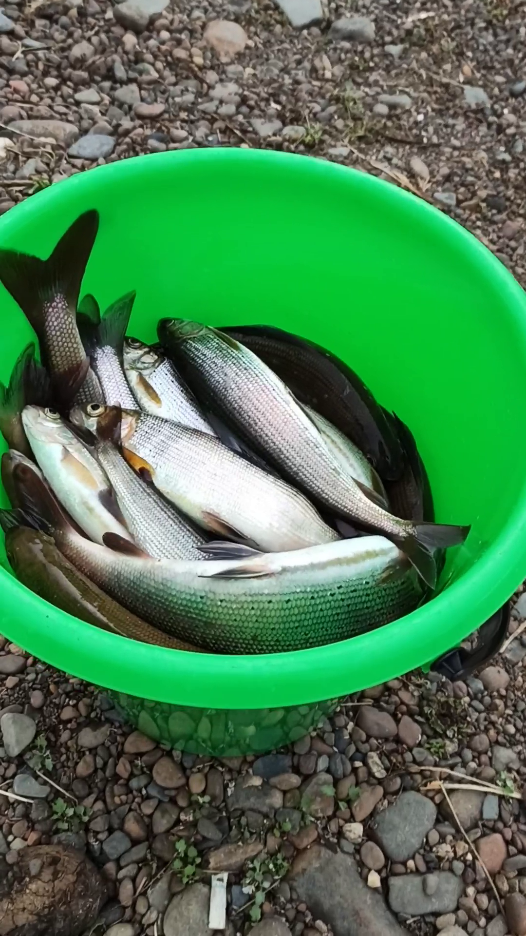 Коротко о рыбалке