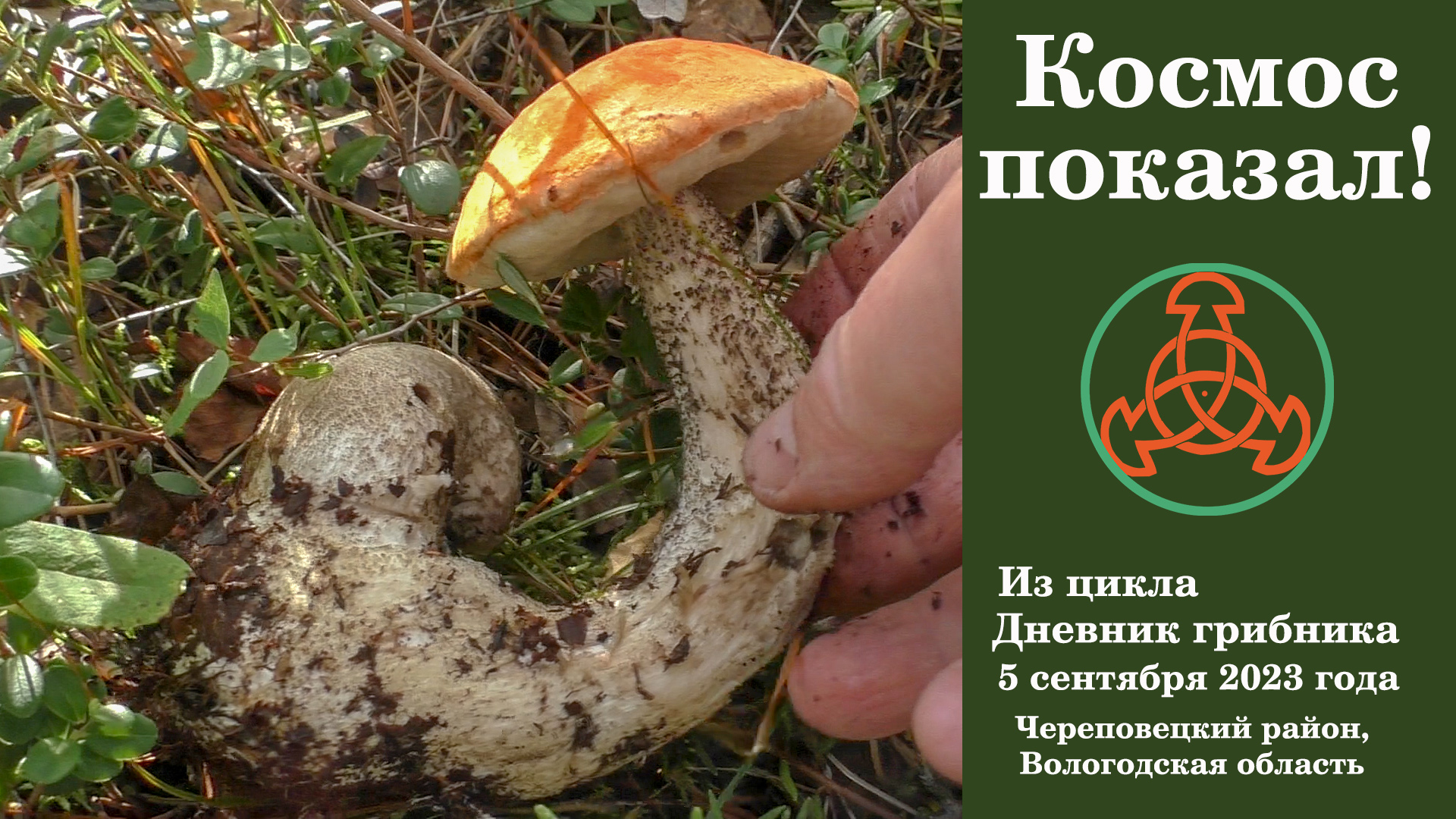 Космос показал! Дневник грибника 5 сентября 2023 года