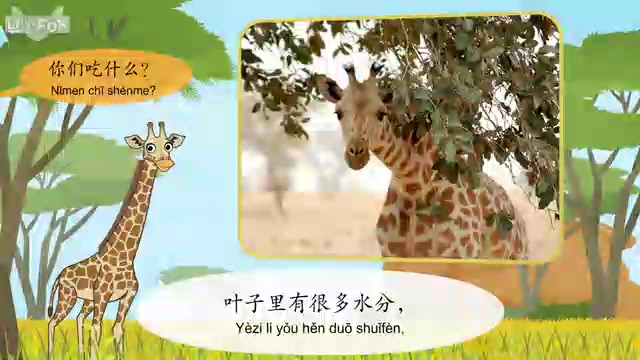 КИТАЙСКИЙ (ЖИРАФ - 长颈鹿) A1-98