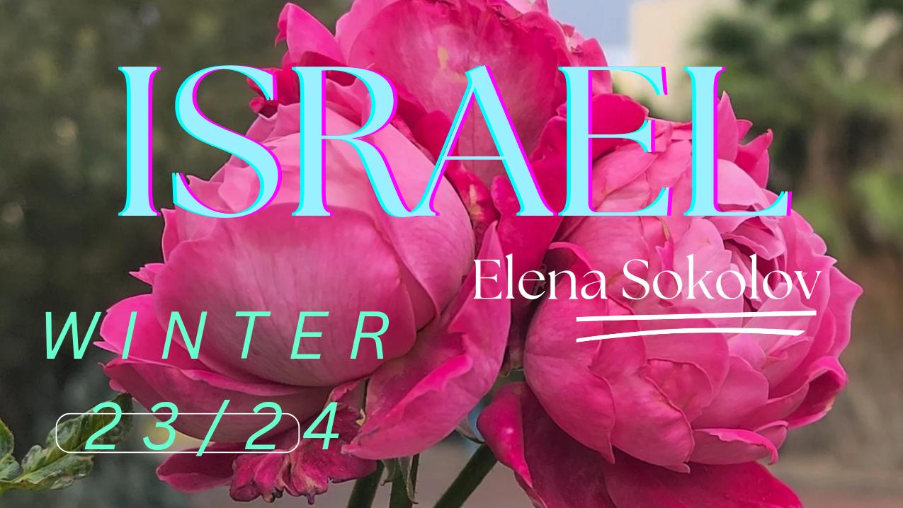 Israel Winter 2023-2024 Nature