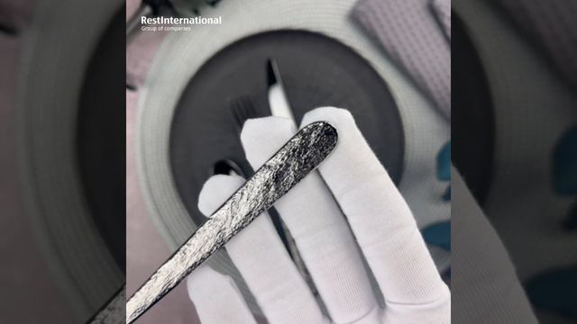 Snake P.L. Proff Cuisine #4 | Портфолио коллекции