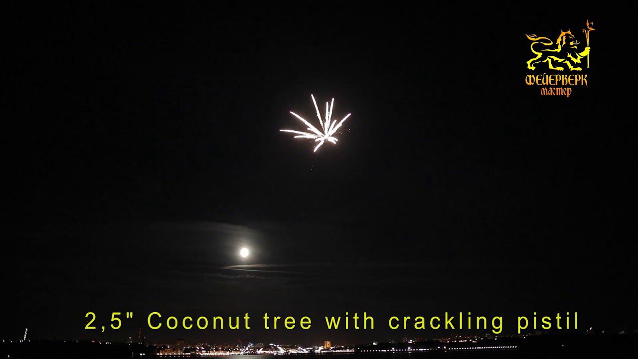 2,5" Coconut tree with crackling pistil