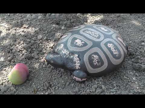 Поделки для сада из цемента бетона.