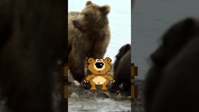 Мишкин стендап.Часть 6