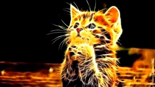 Песня_про_кису,_кошку_Song_of_CIMS,_the_cat_Canción_del_CIMS,_el_gato_CIMS_дуу,_муур.mp4
