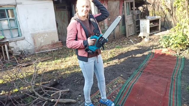 Купили эл.пилу/Снесли стены15-16.11.2023