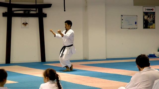 ката Koji Arimoto.mp4