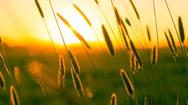 УСЫПЛЯЮЩАЯ МУЗЫКА ДЛЯ СНА (МГНОВЕННЫЙ СОН)