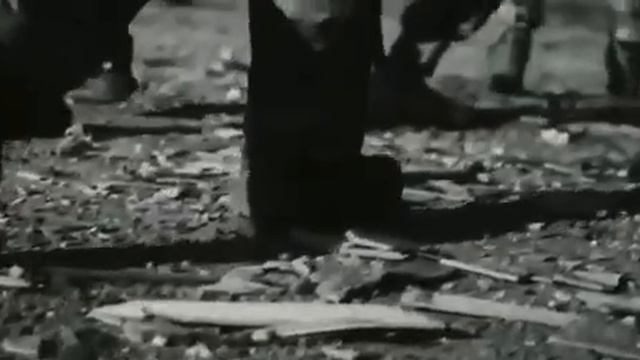 Русские вперёд!