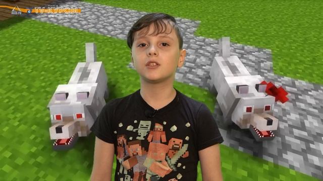 #TVКУРСЫ ➡❤ ?❤⬅
? ПРЕМЬЕРА! Проект "ИГРА" с Богданом Черноусовым.