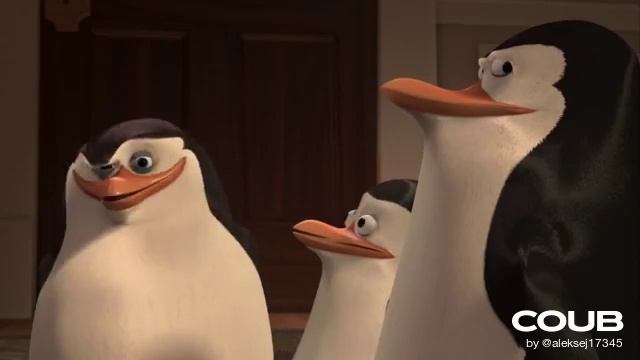 ЮМОР | РАЗВЛЕЧЕНИЯ |ПРИКОЛЫ COUB #471