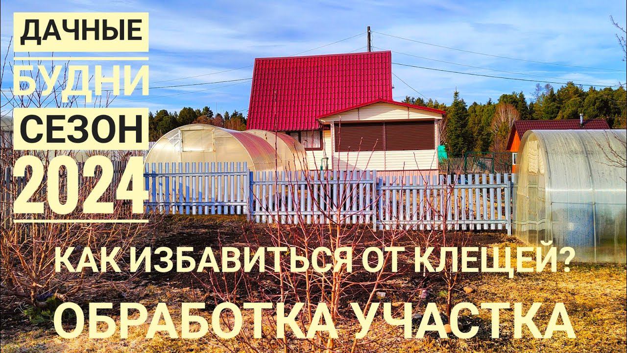 Травим клещей. Дачные будни. Открытие дачного сезона 2024.