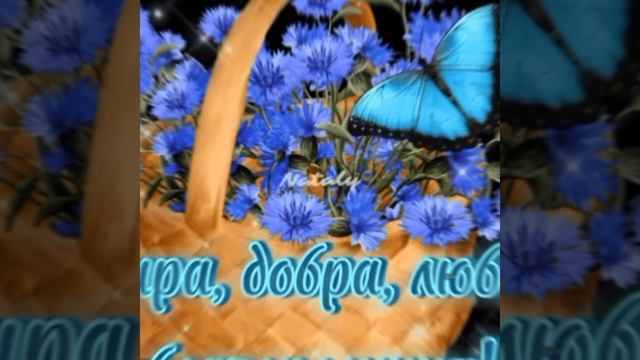 Желаю Вам прекрасного вечера!