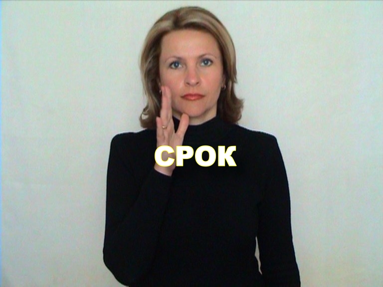 ЖЕСТОВЫЙ ЯЗЫК. СЛОВАРЬ. Срок