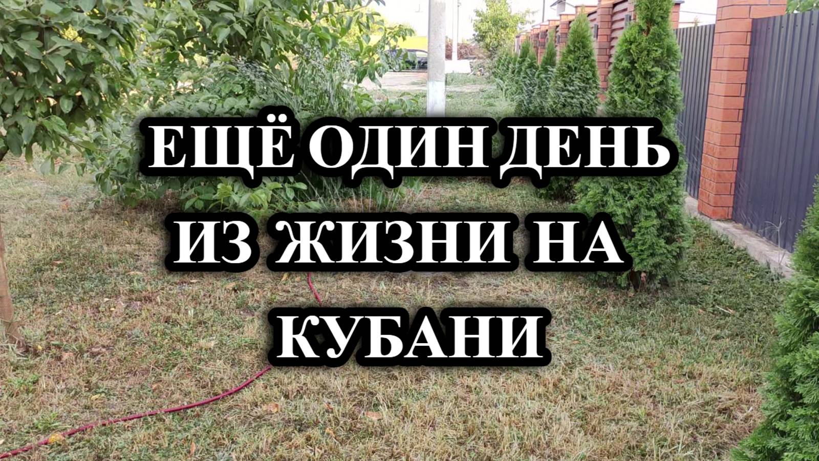 672ч Наша жизнь на юге России/Переехали с Урала в Белореченский район