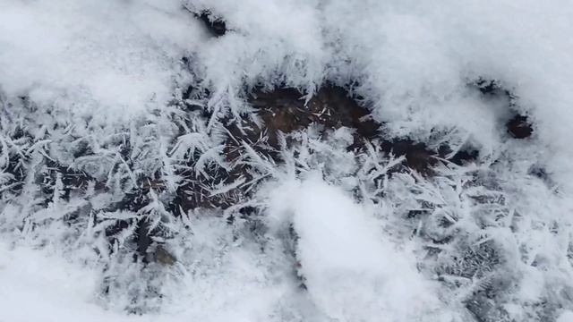 Зимний поход 2022