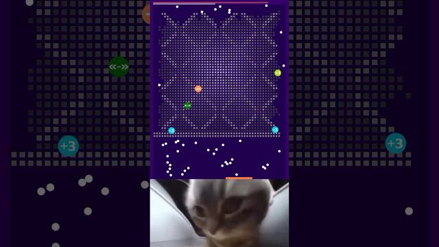 chipi chipi chapa chapa #shorts #кот #chipichipi #коты #милые #музыка #игра