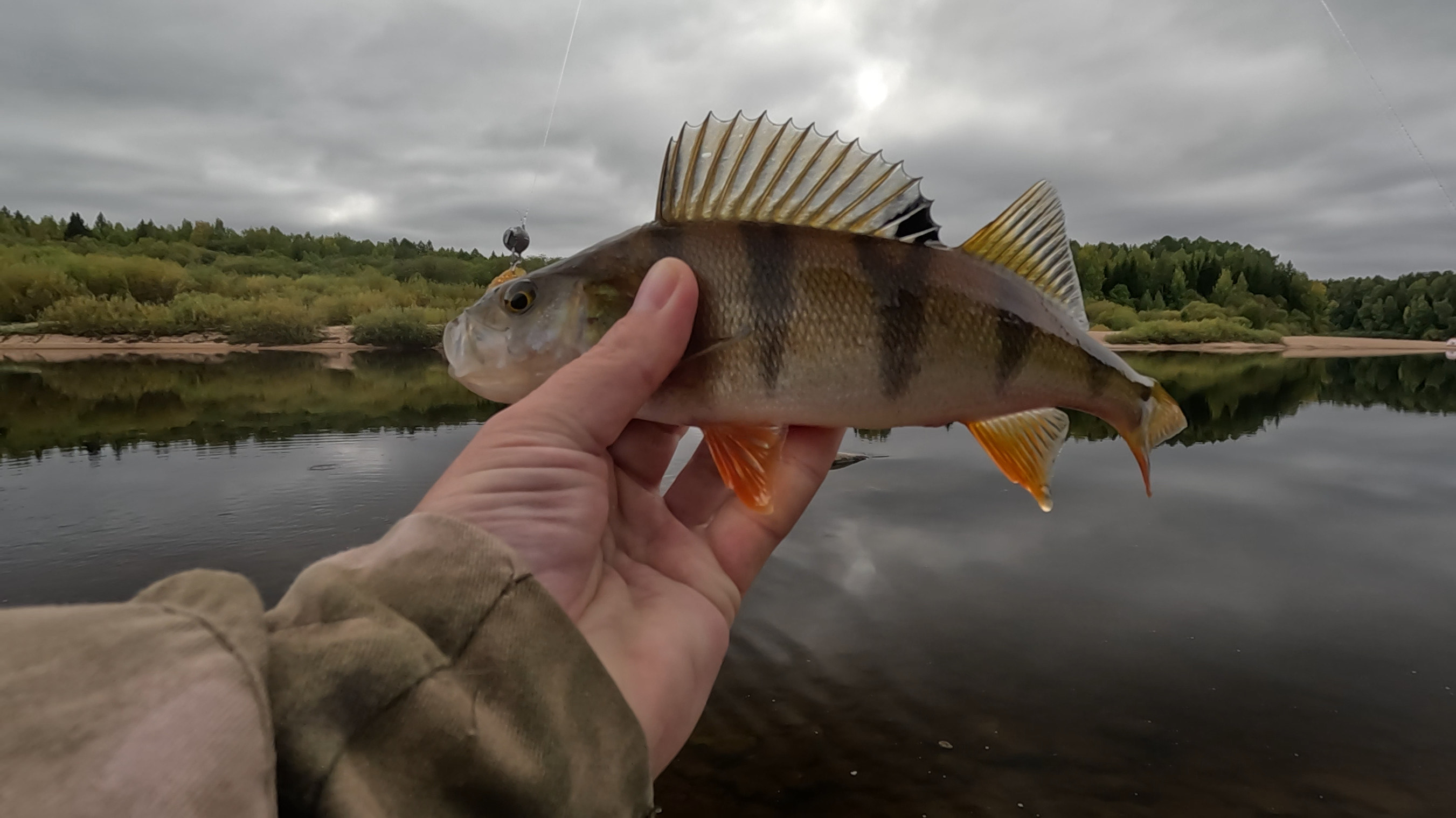 НАШЁЛ ОКУНЯ ДЖИГОЙ