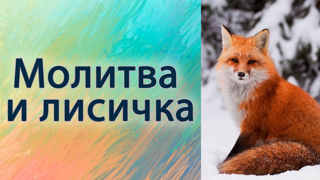 Молитва и лисичка