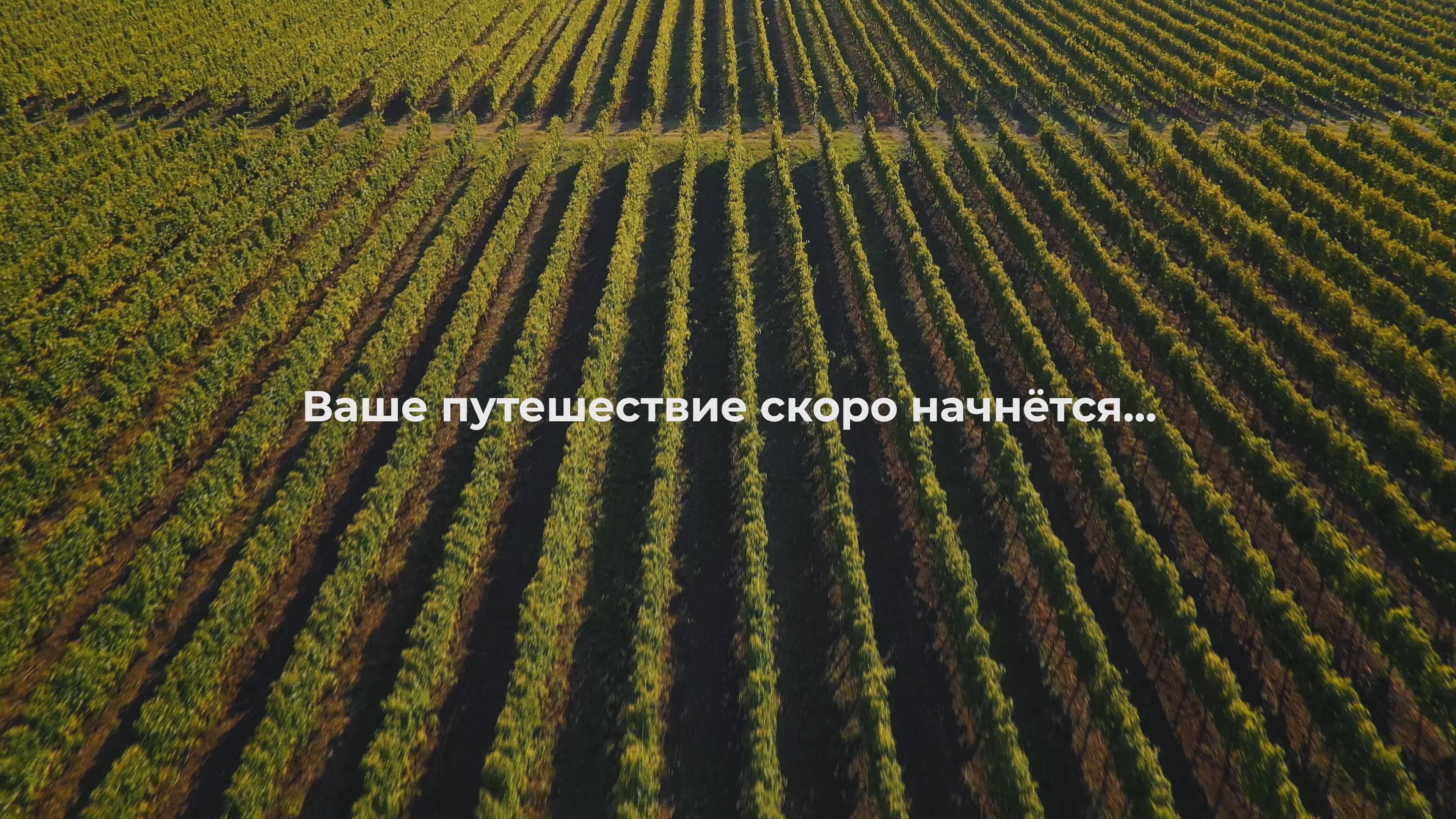 Официальный ролик "Виноградный экспресс"