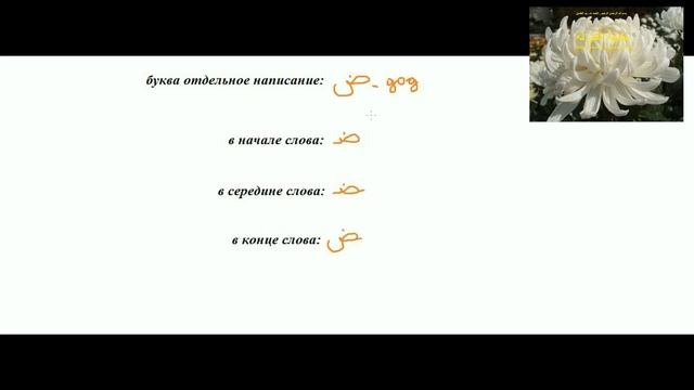 15 буква   Дод   арабского алфавита