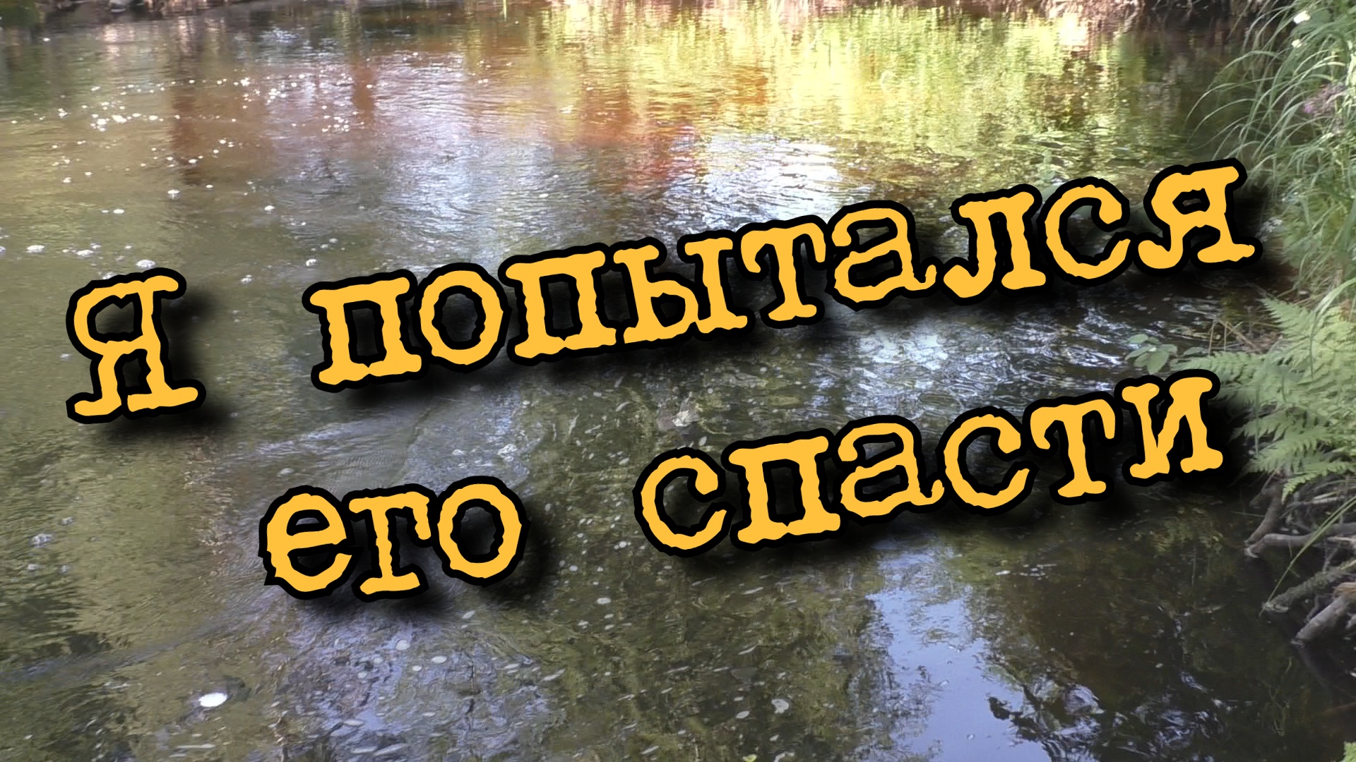 Я пытался его спасти, но не успел..