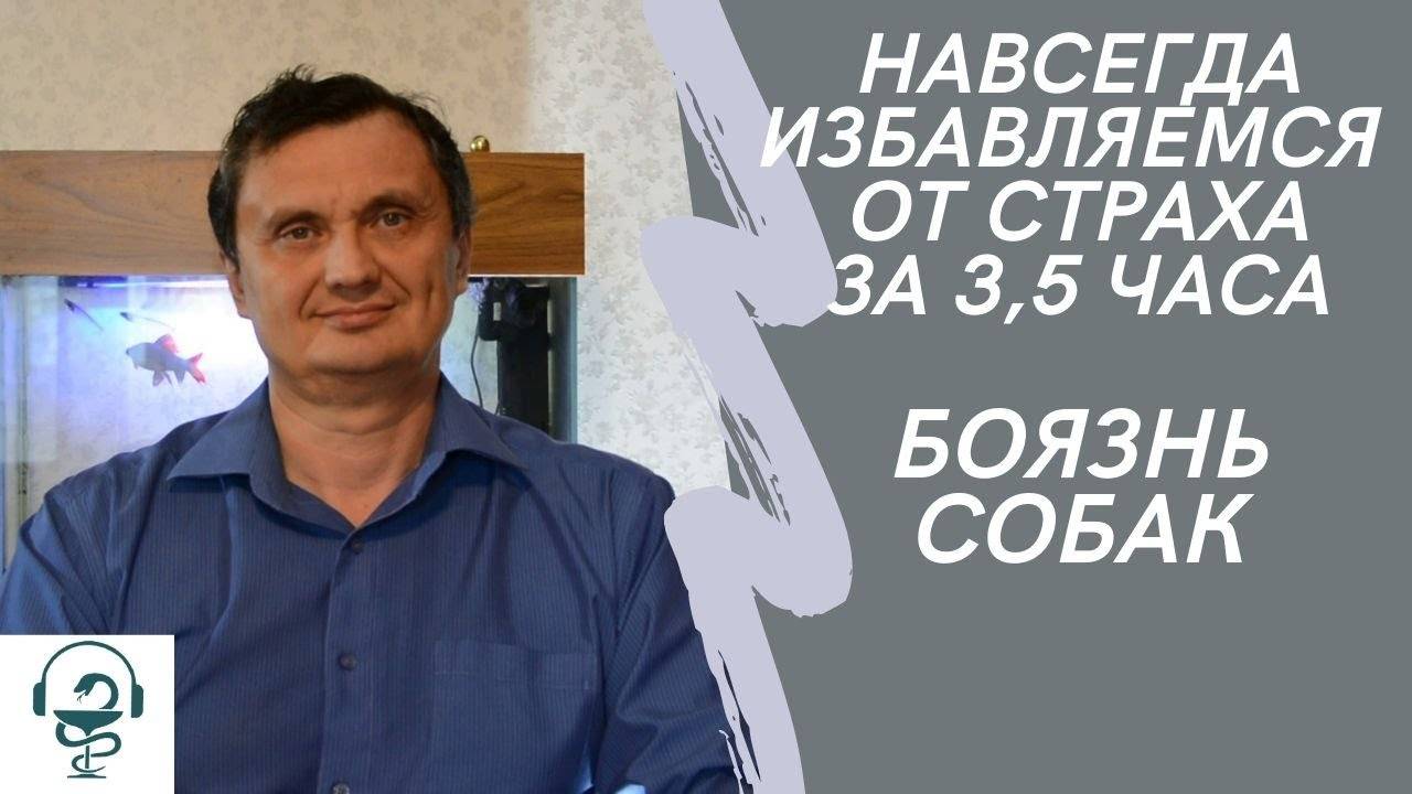 Избавимся от страха за 3,5 часа  Страх собак