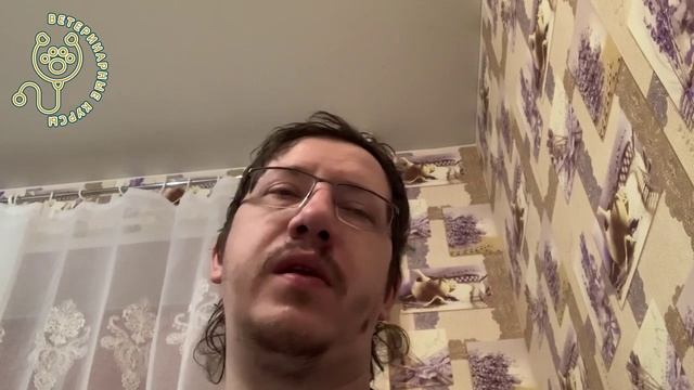 Ветеринария. Поджелудочная железа (как эндокринный орган)