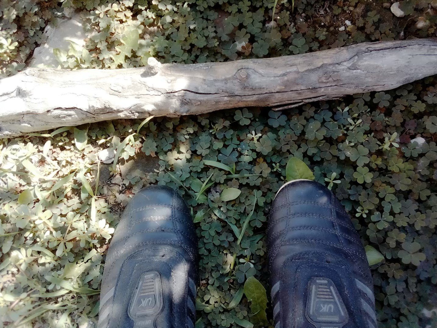 Материал под ногами . Оригинальное изделие из бросовой ветки за пол часа .