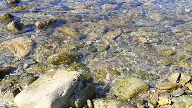 Рица, набережная