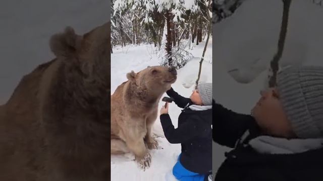 вот это любовь и дружба