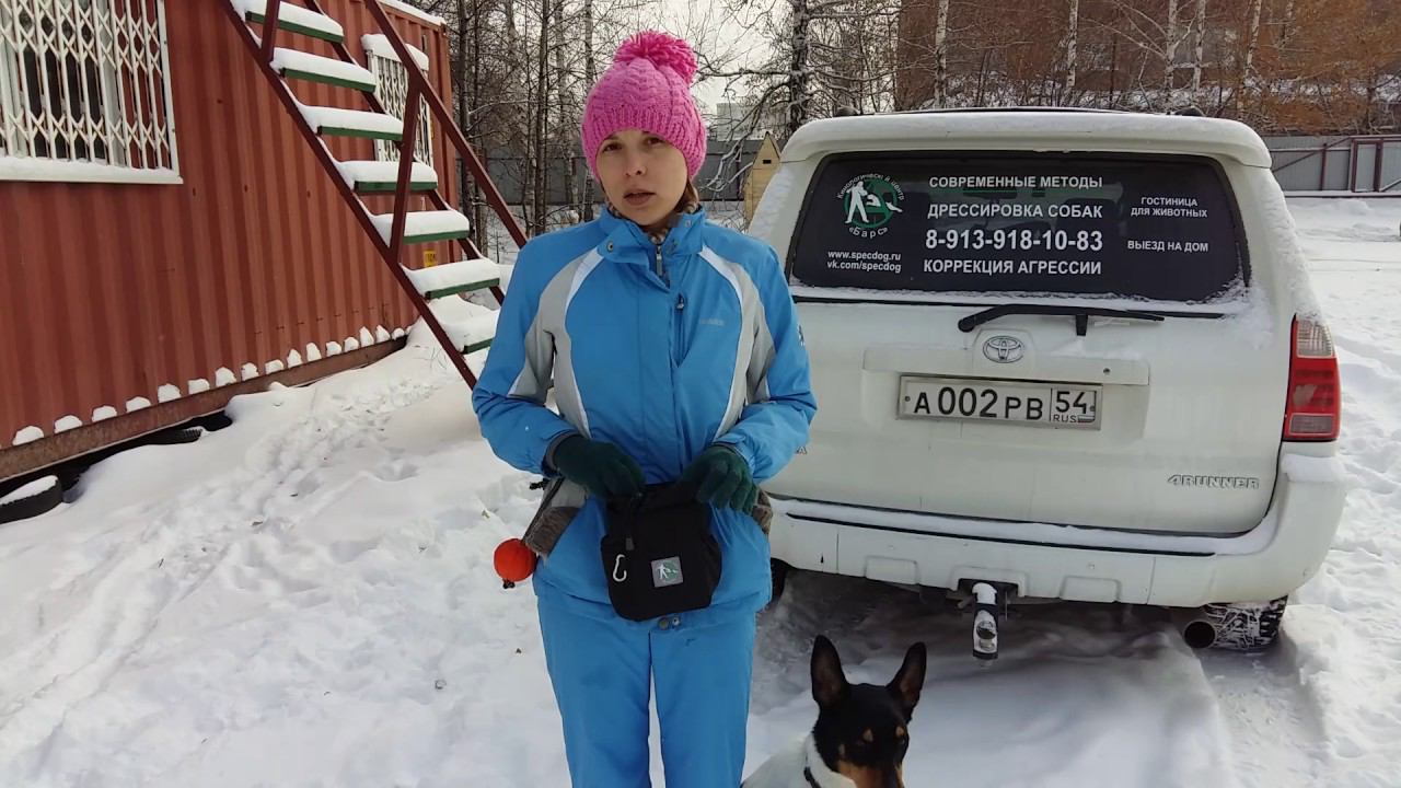 Видео отзыв Светы Климовой с Джеси по сумочки