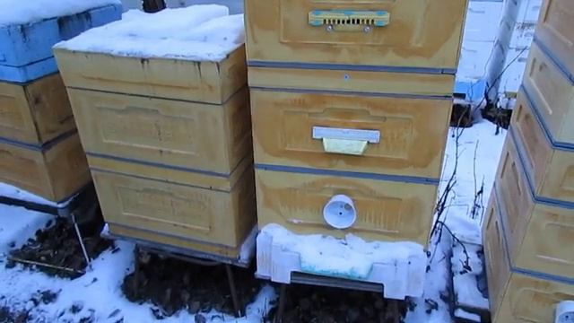 выбор улья на пасеку - 12 рамочный улей на рутовскую рамку - часть 1