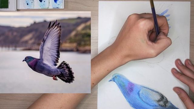 Этюд голубя.mp4