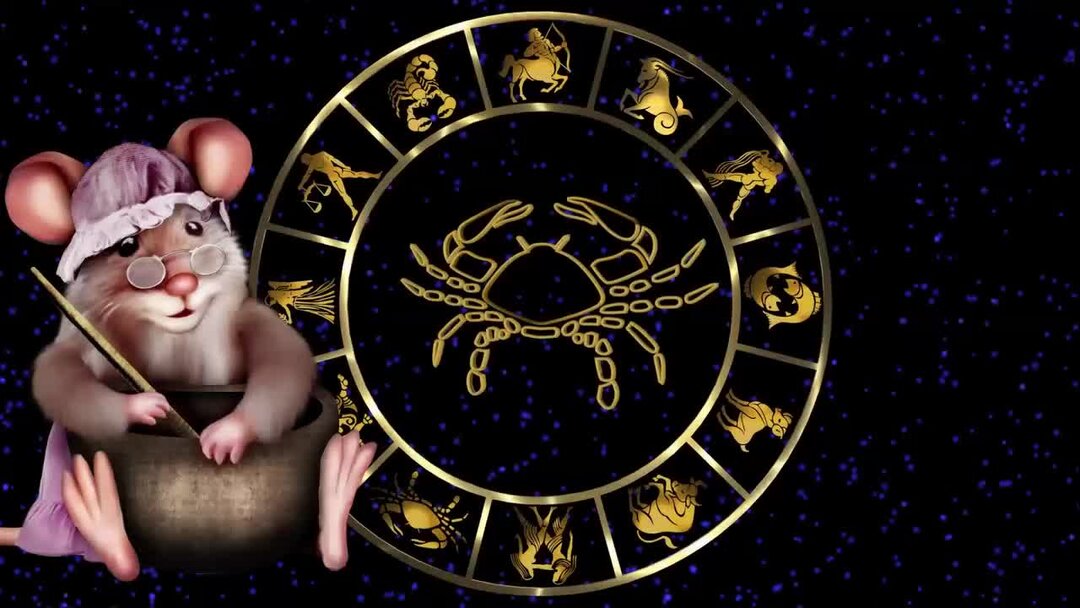 Совмещение гороскопов. Крыса Рак