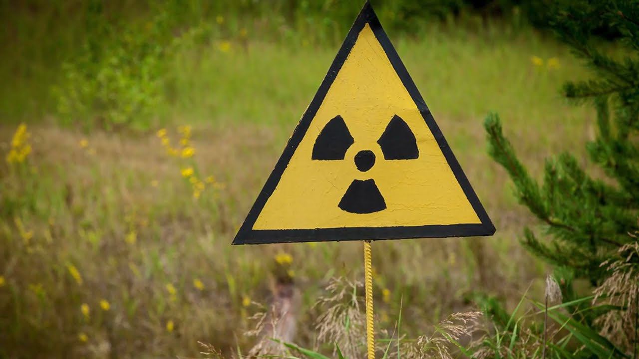 Пикник на обочине: короткометражка (Roadside Picnic: short film)