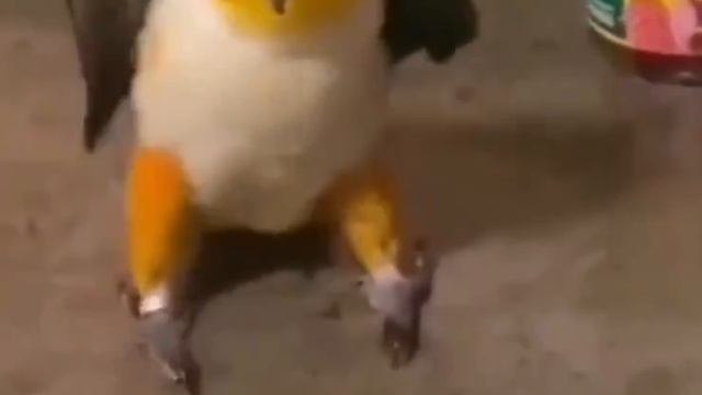 Запоминаем движения гениального хореографа! Бесплатный урок маэстро. ?