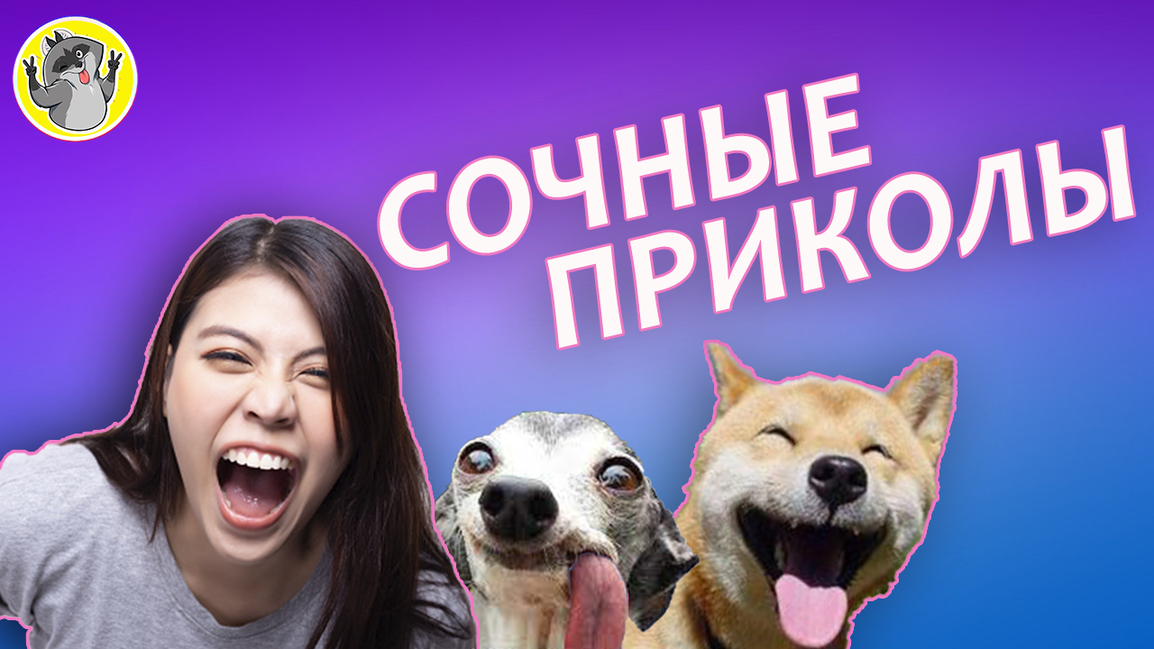 Я РЖАЛ ДО СЛЕЗ FAKES JOKES 2022 #5