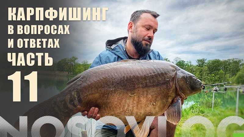 Карпфишинг в вопросах и ответах, выпуск 11, Колесников А.