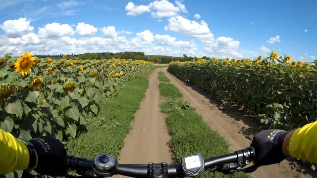 Велопокатушка №54. Стрелица