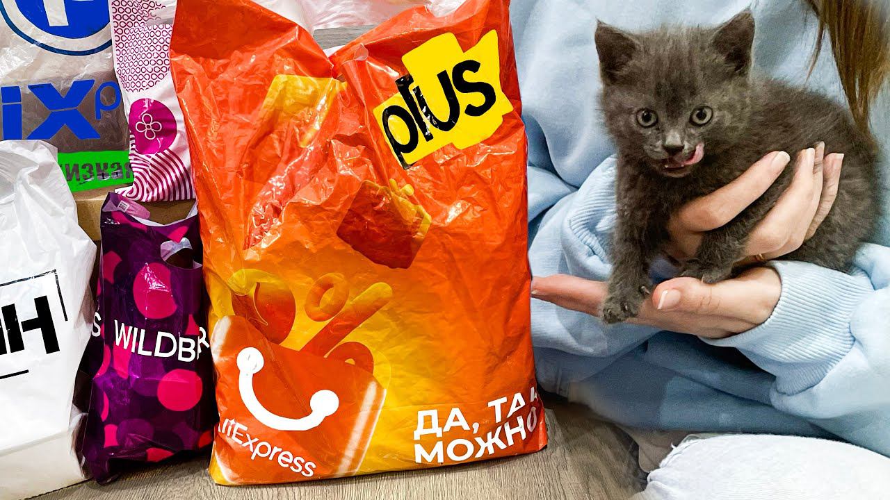 ЛУЧШИЕ ПОКУПКИ СЕНТЯБРЯ  ВАЙЛДБЕРИЗ  ФИКС ПРАЙС   СИН   АЛИЭКСПРЕСС ❤️  ПОДРУЖКА