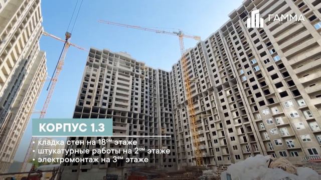 ЖК "Центральный" июнь 2024