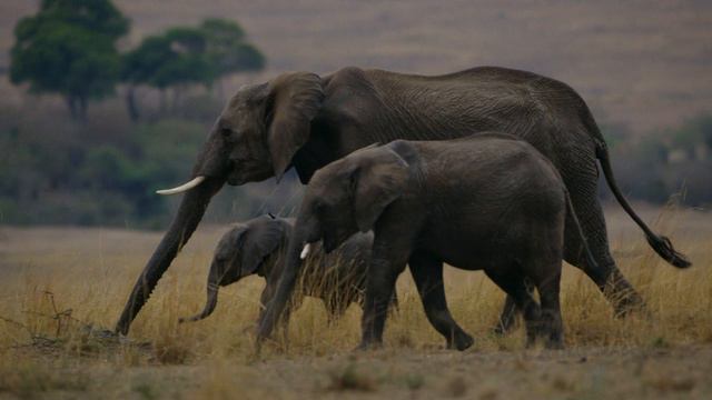 Космос. Возможные миры. 11