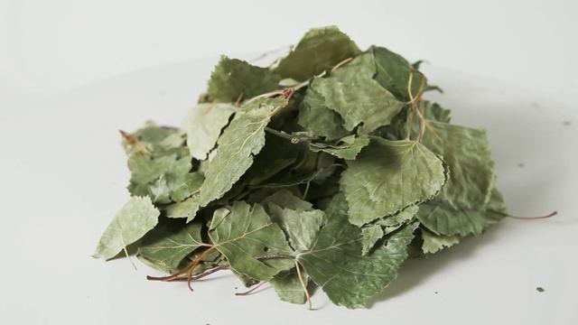 Береза лист.mp4