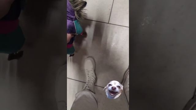 VID_20221228_145251_364.mp4