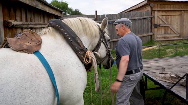 НАШ ДРУГ И ПОМОЩНИК КОНЬ