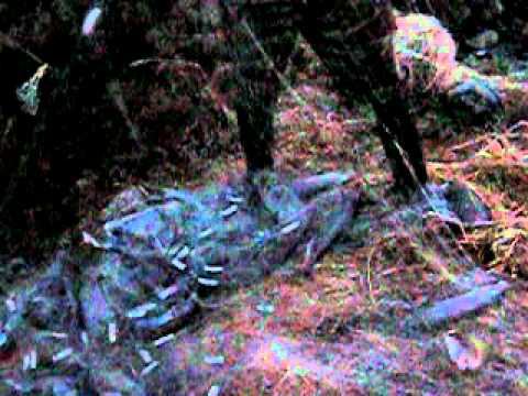 Снятие браконьерской сети на  озере Джулукуль