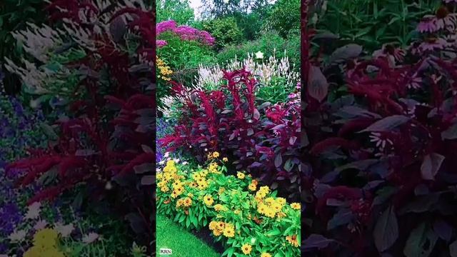 Весь день хорошего настроения